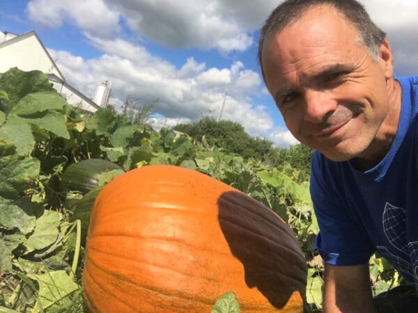 Des citrouilles de 50 livres à la Ferme Denis Nicol - Agriculture ...
